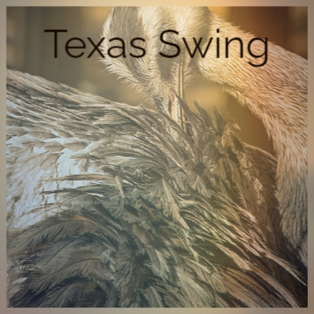 Texas Swing - Compilation by Various Artists | Spotify