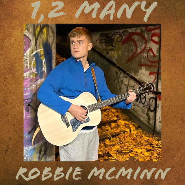 1,2 Many - song and lyrics by Robbie McMinn | Spotify
