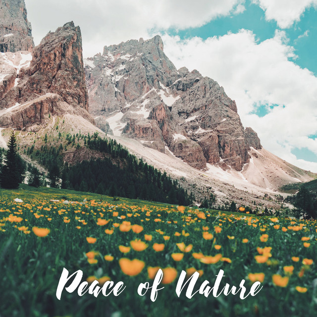 Peace of Nature - Album by Sounds of Nature Relaxation | Spotify