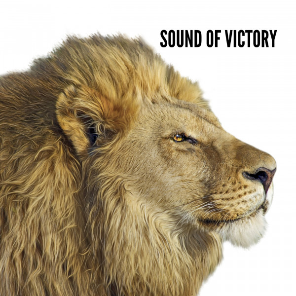 Sound of Victory - Single by Kyle Lovett | Spotify