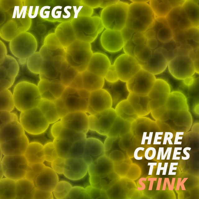 Here Comes the Stink - EP by Muggsy | Spotify