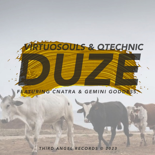 Duze - Single by Virtuosouls | Spotify
