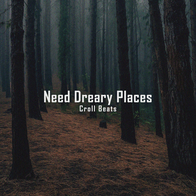 Need Dreary Places - Single by Croll Beats | Spotify