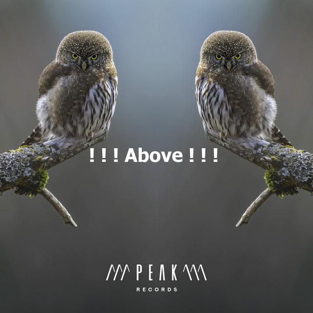 Above ! ! ! - Album by Life Sounds Nature | Spotify