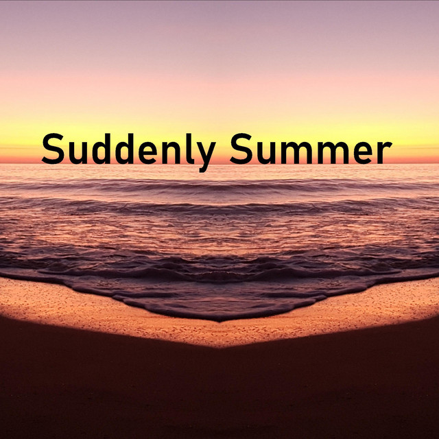 Suddenly Summer - Single by 1CEWA7ER | Spotify