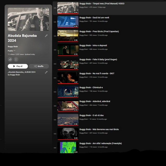 Buggy Brain | Spotify