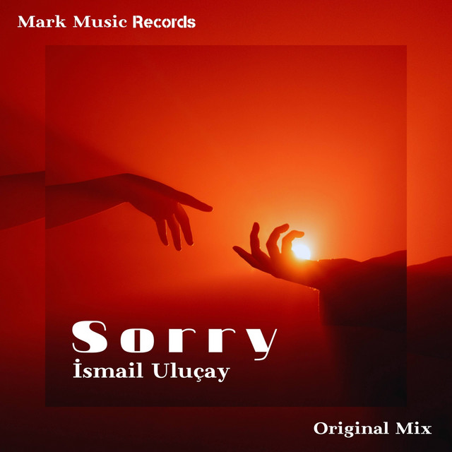 Sorry - Single by İsmail Uluçay | Spotify
