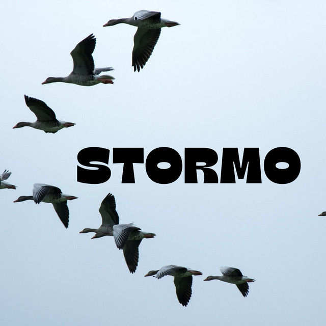 Stormo - Single by Federico Tessadori | Spotify