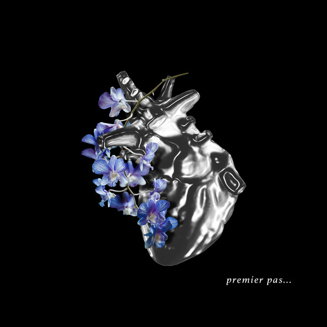 premier pas... - Single by Rodzy | Spotify