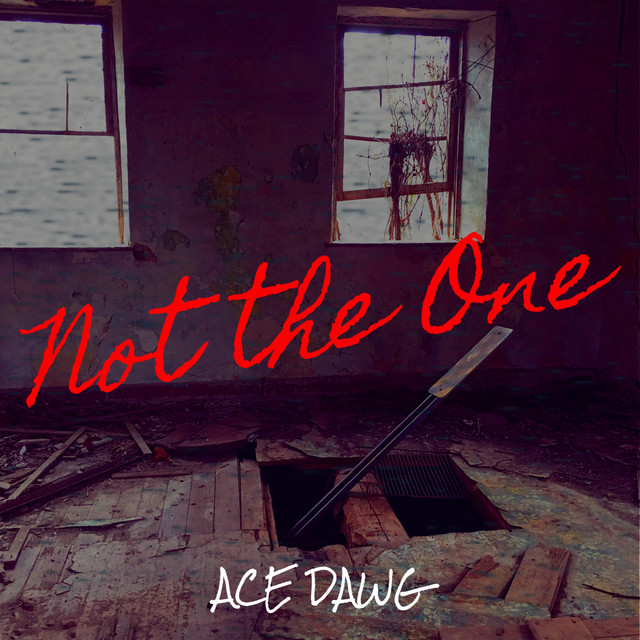 Not the One - Single by Ace Dawg | Spotify