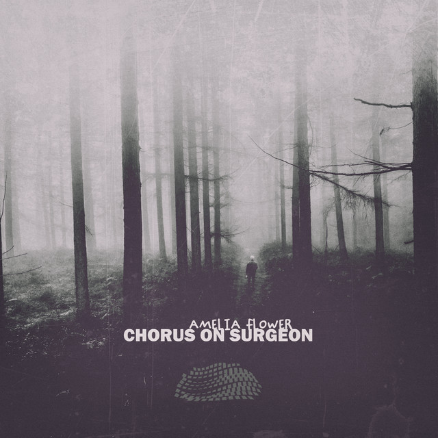 Chorus on Surgeon - Album by Amelia Flower | Spotify