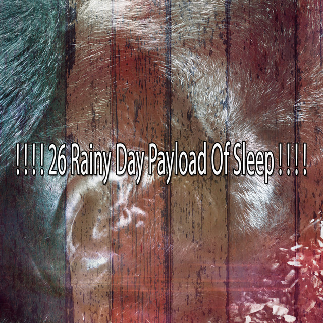 26 Rainy Day Payload Of Sleep ! ! ! ! - Album by Rain Sounds For Sleep ...