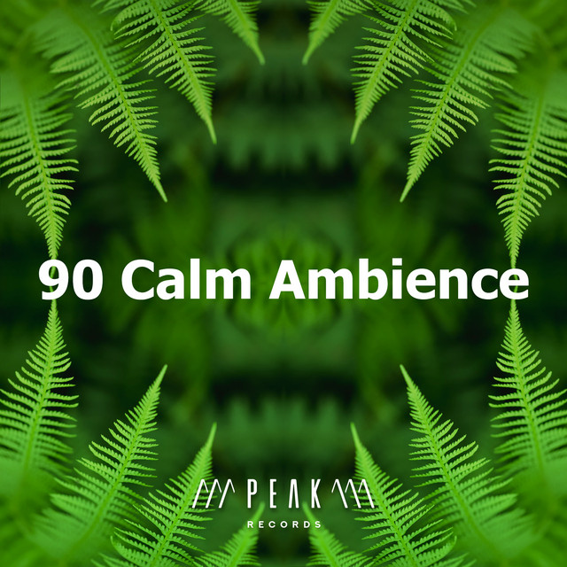 90 Calm Ambience - Album by Calming Sounds | Spotify