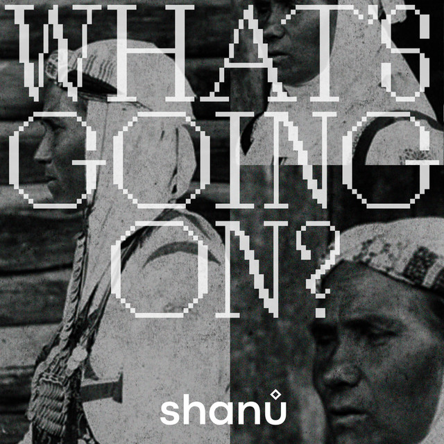 What's Going On - Single by Shanu | Spotify