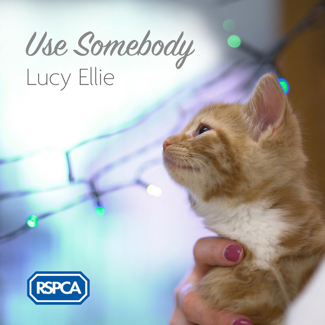 Use Somebody - Single by Lucy Ellie | Spotify
