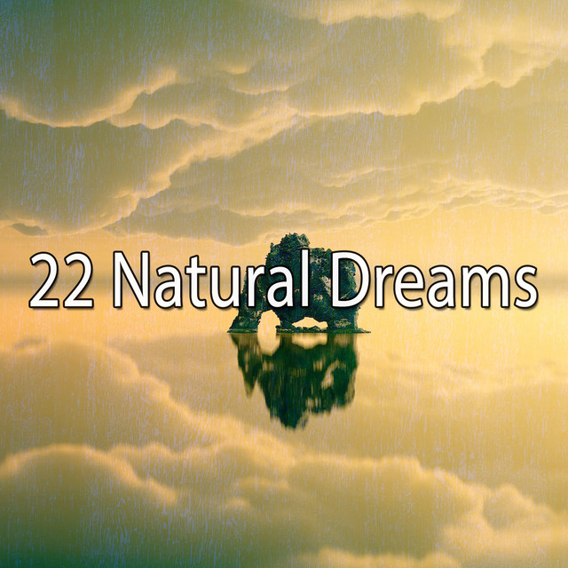 22 Natural Dreams - Album by Sleep Baby Sleep | Spotify