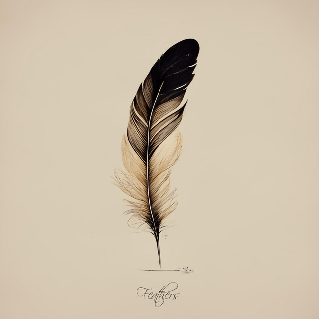 Feather - song and lyrics by Iketa | Spotify