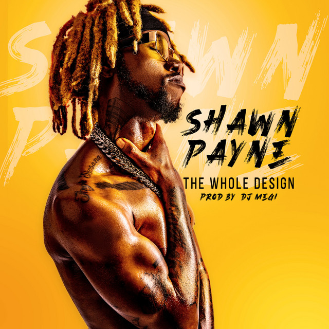 Shawn Payne: genres, songs, analysis and similar artists - Chosic