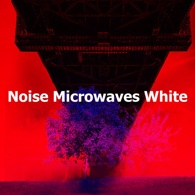 Noise Microwaves White - Album by Authentic White Noise | Spotify