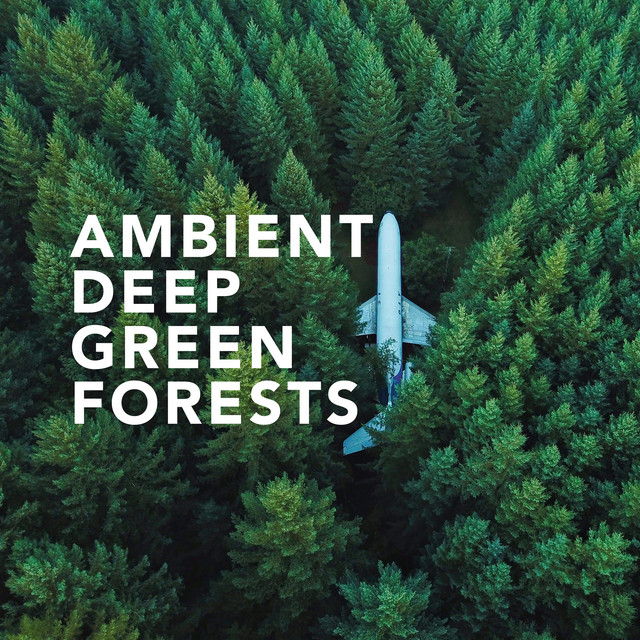 Ambient Deep Green Forests ! ! ! ! - Album by Ambient Forest | Spotify