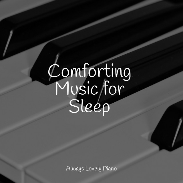 Comforting Music for Sleep - Album by Piano Pianissimo | Spotify