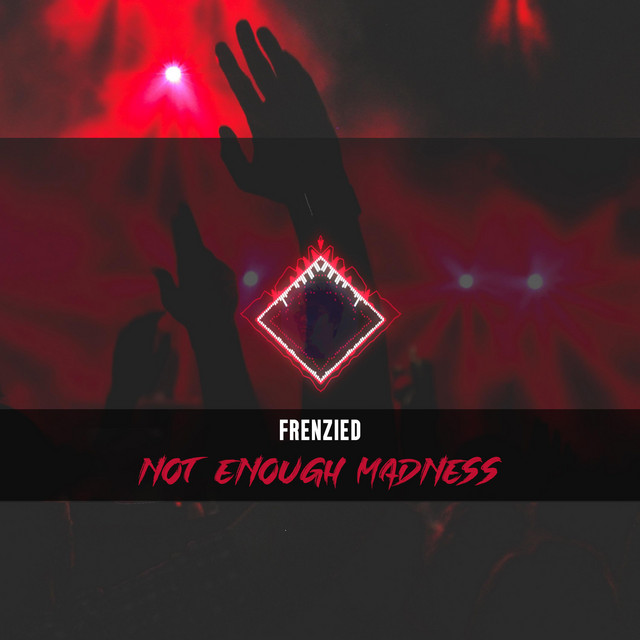 Not Enough Madness - Single by Romman Sabbir | Spotify