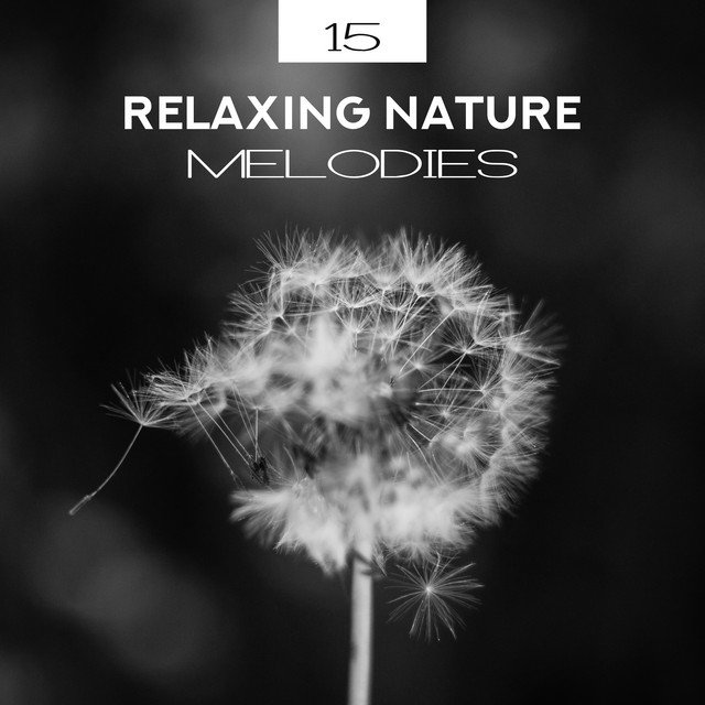 15 Relaxing Nature Melodies - Album by Relajación | Spotify