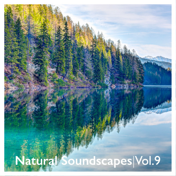 Natural Soundscapes, Vol. 9 - Album by Gene Pierson | Spotify