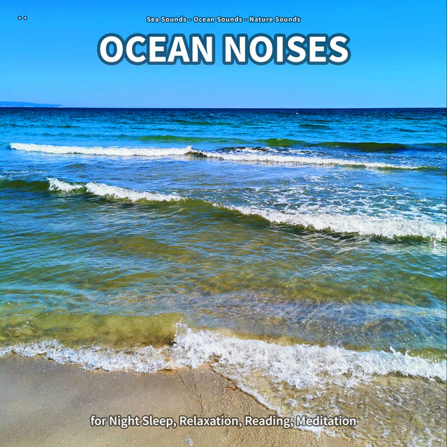 Ocean Noises, Part 64 - song by Sea Sounds, Ocean Sounds, Nature Sounds ...