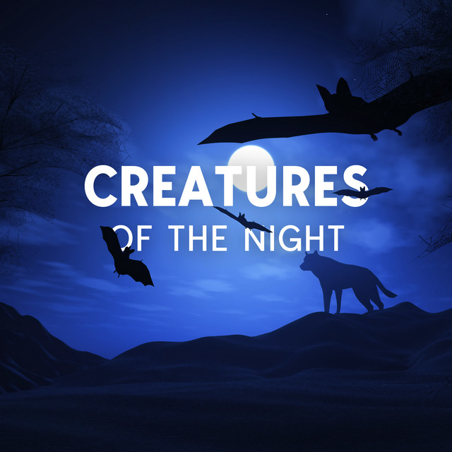 Creatures of the Night: Nocturnal Sounds - Album by Sounds Of Nature ...