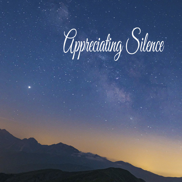 Appreciating Silence - Album by Music For Absolute Sleep | Spotify