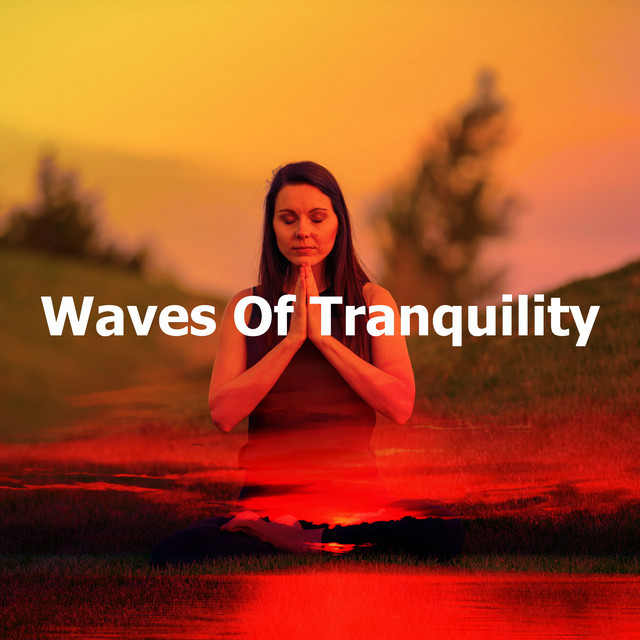 Waves Of Tranquility - Album by Musica para Meditar | Spotify