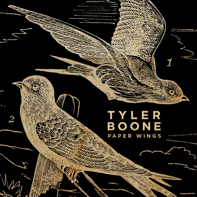 Paper Wings - song and lyrics by Tyler Boone | Spotify