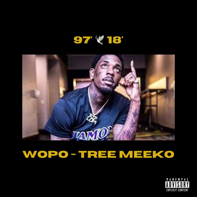 Wopo - Single by TMeeko | Spotify