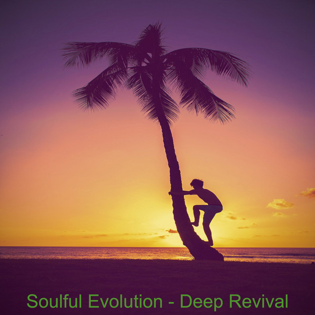 Soulful Evolution | Spotify