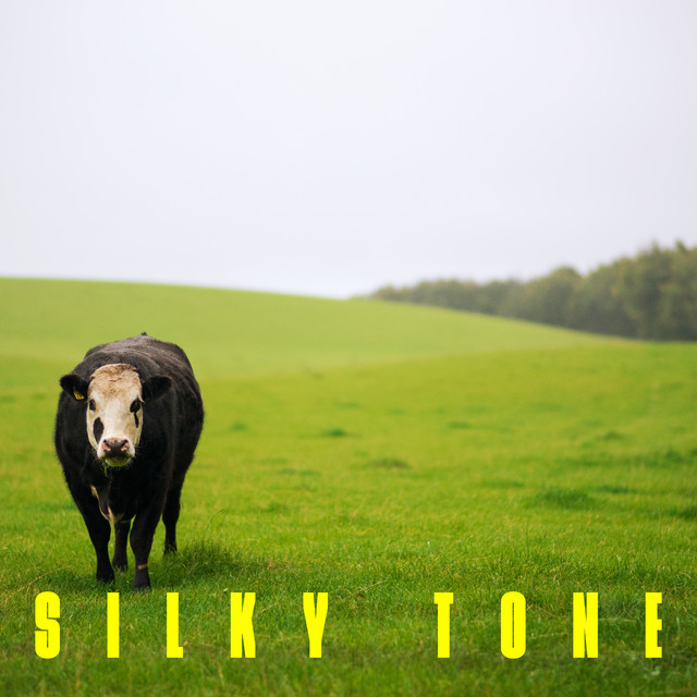 Milk - Single by Silky Tone | Spotify