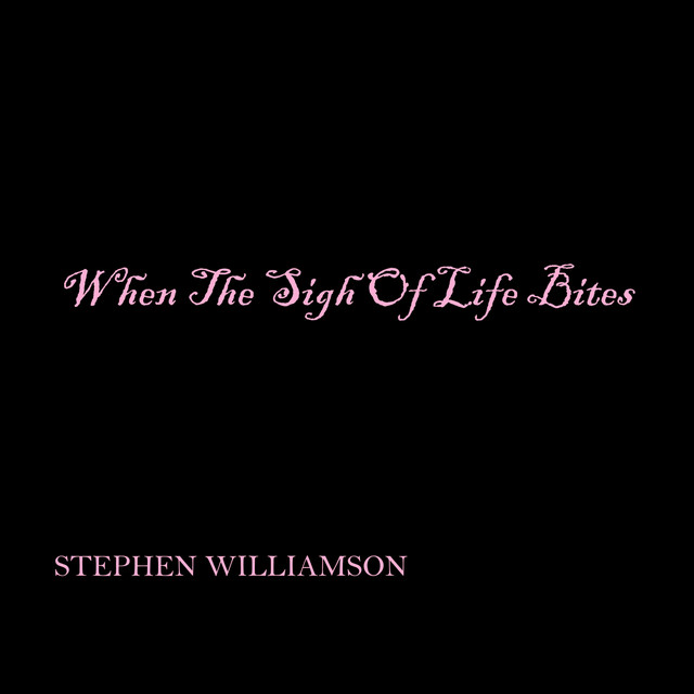 When the Sigh of Life Bites - Single by Stephen Williamson | Spotify
