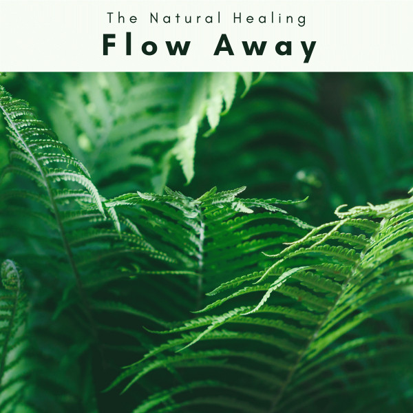 1 Flow Away - Album by The Natural Healing | Spotify