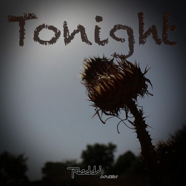 Tonight - Single by Poddi Musik | Spotify