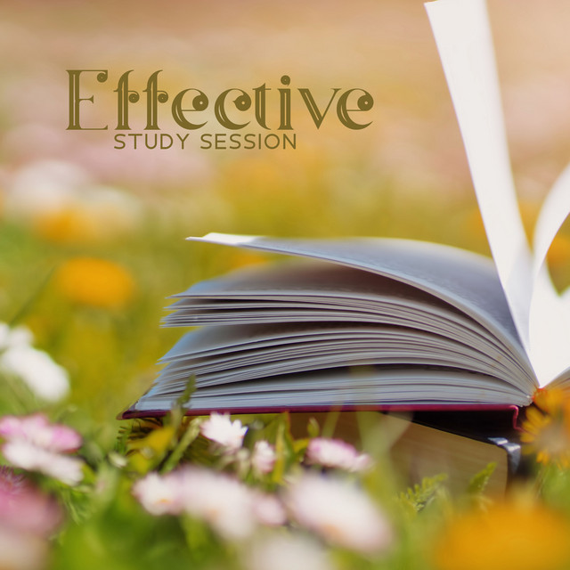 Effective Study Session: Nature Sounds for Classroom, Lower Exam Stress ...
