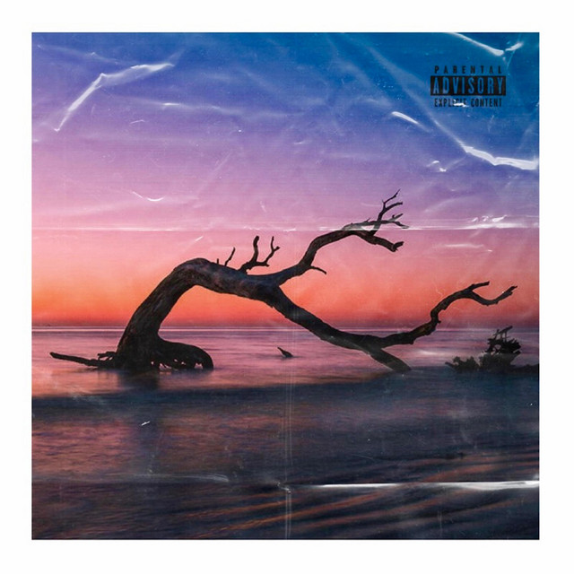 Driftwood - Single by iNTeLL | Spotify