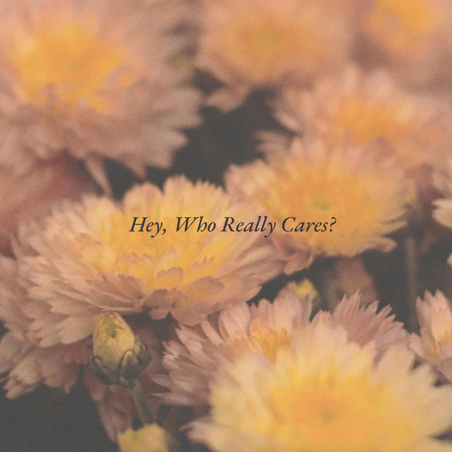 Hey, Who Really Cares? - Single by Mornings | Spotify