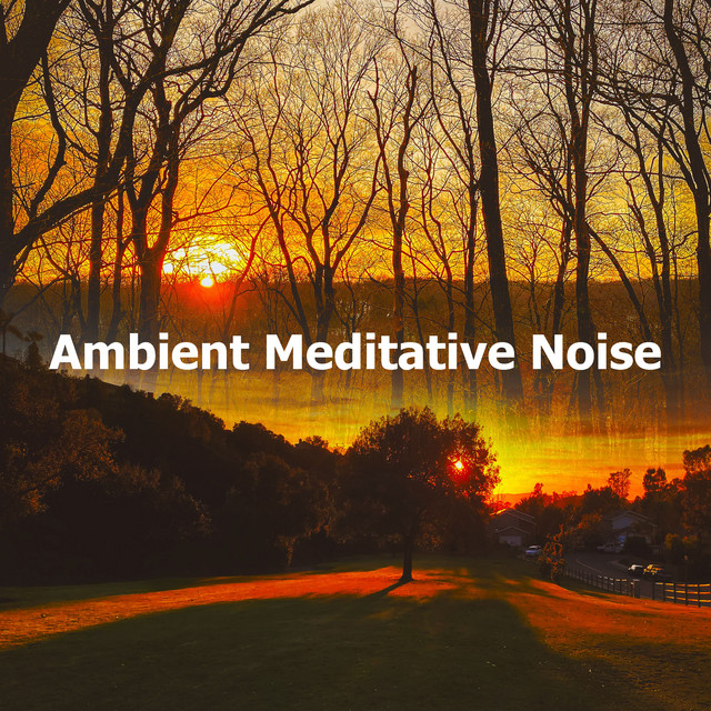 Ambient Meditative Noise - Album by Pro Sound Effects Library | Spotify