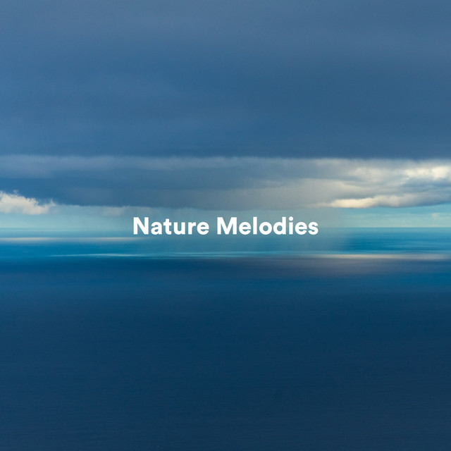 Nature Melodies - Album by Bruit De La Mer | Spotify