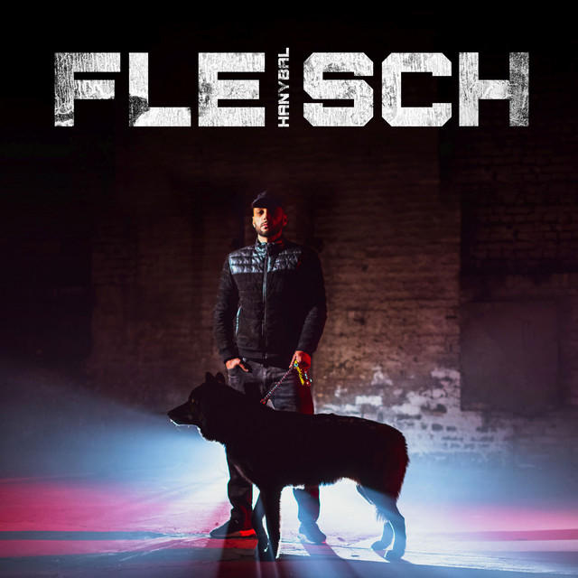 Fleisch - Single by Hanybal | Spotify