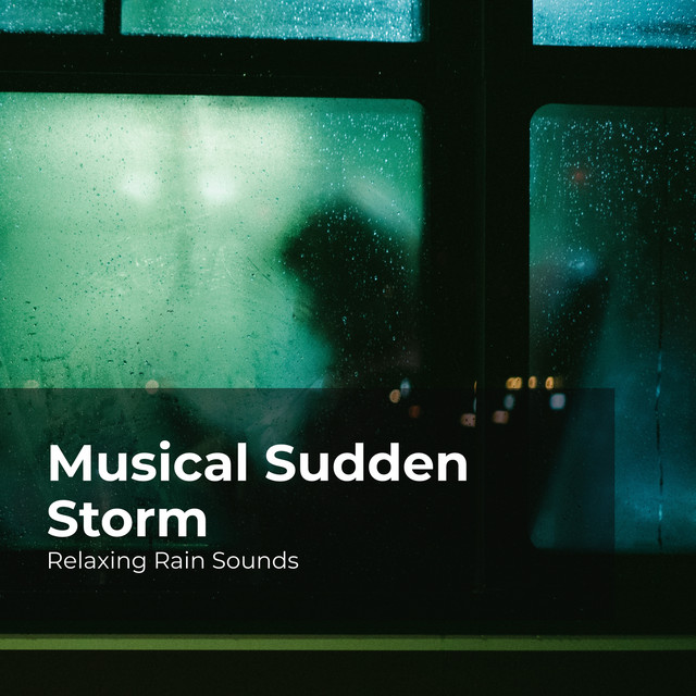Musical Sudden Storm - Album by Relaxing Rain Sounds | Spotify