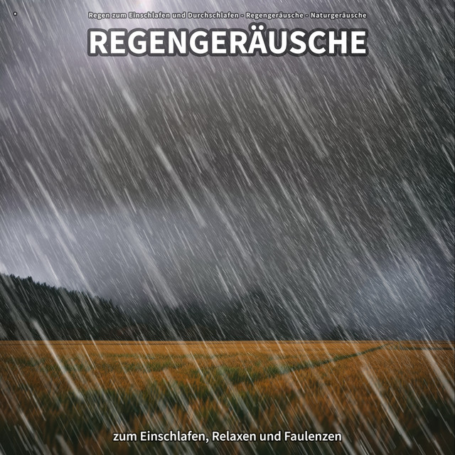 Regengeräusche, Pt. 51 - song by Regen zum Einschlafen und ...