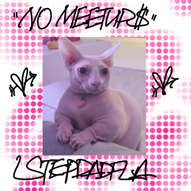 No Meetups - Single by Stepdadfla | Spotify