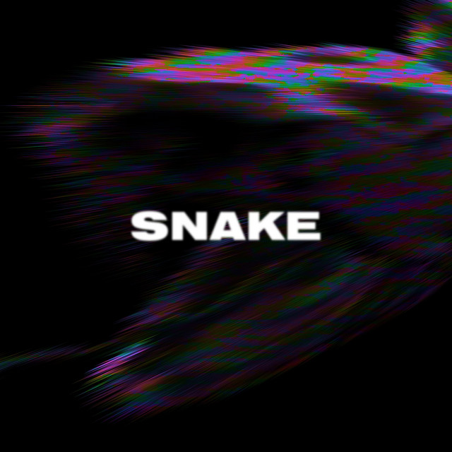 Snake - Single by Ilikeflxwers | Spotify