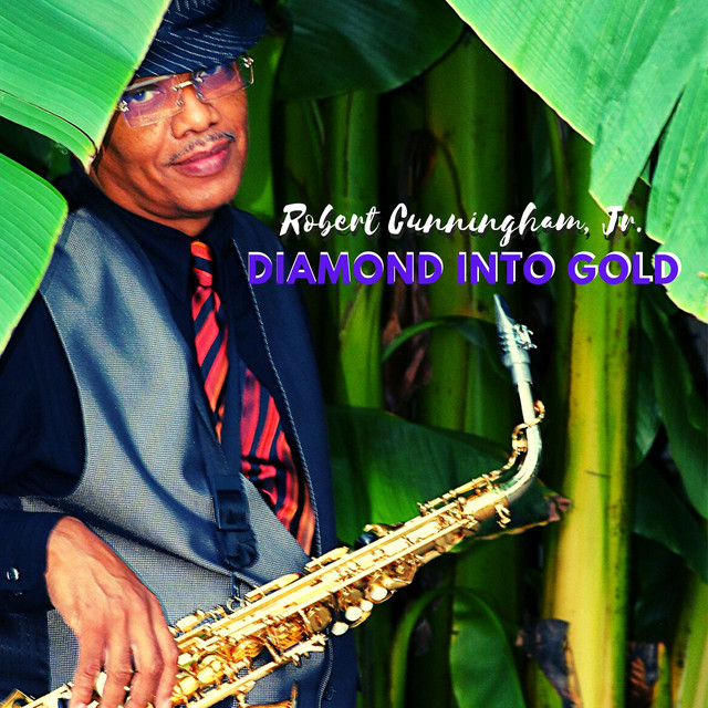 Diamond into Gold - Single by Robert Cunningham Jr. | Spotify